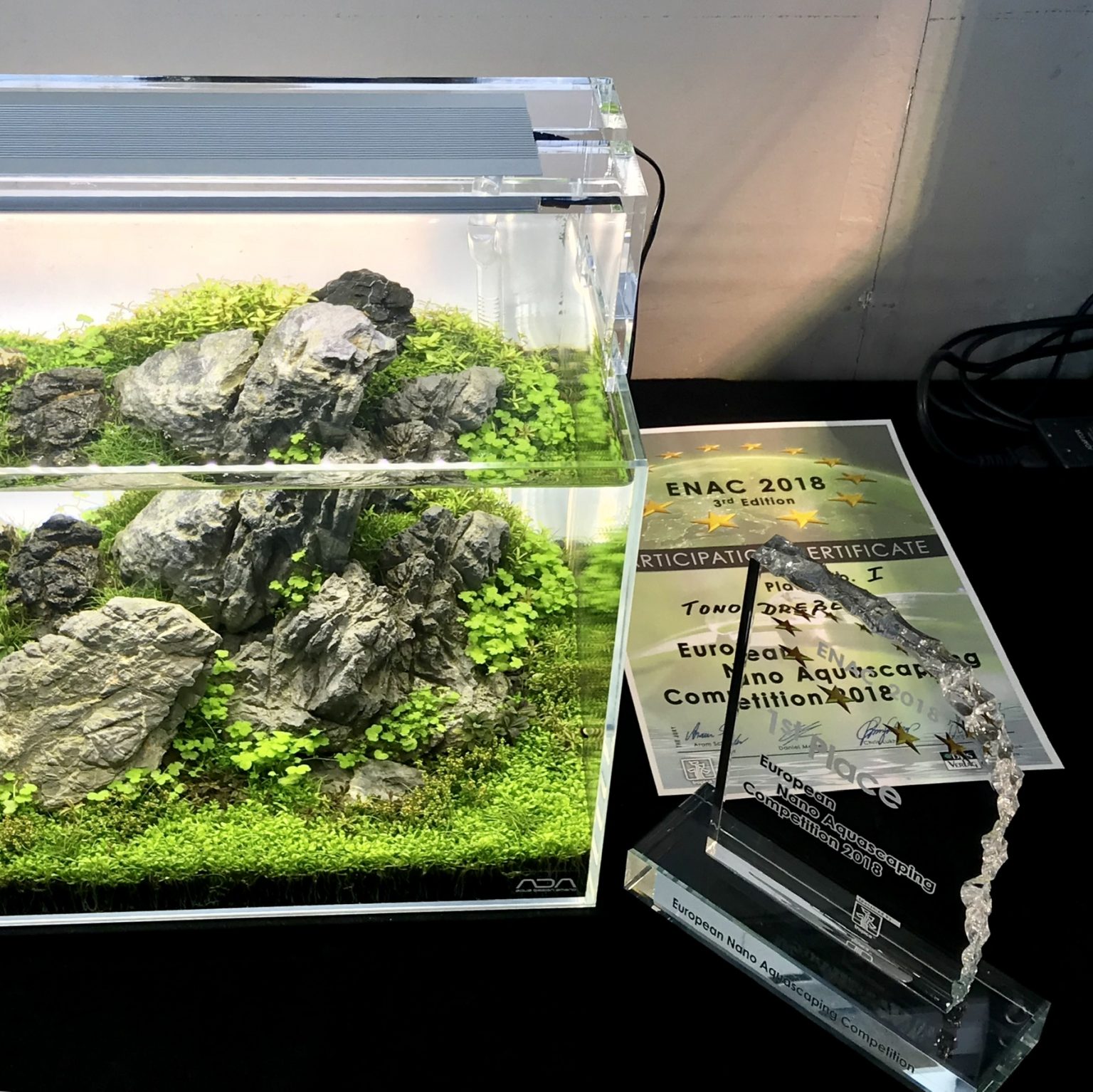 Tono Dreßen | AquaMooh – aquatic landscaping